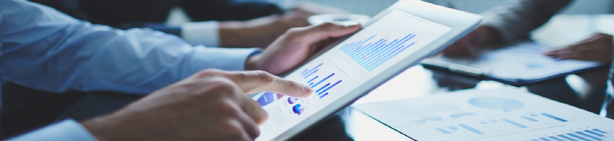 Dynamics Solutions Group